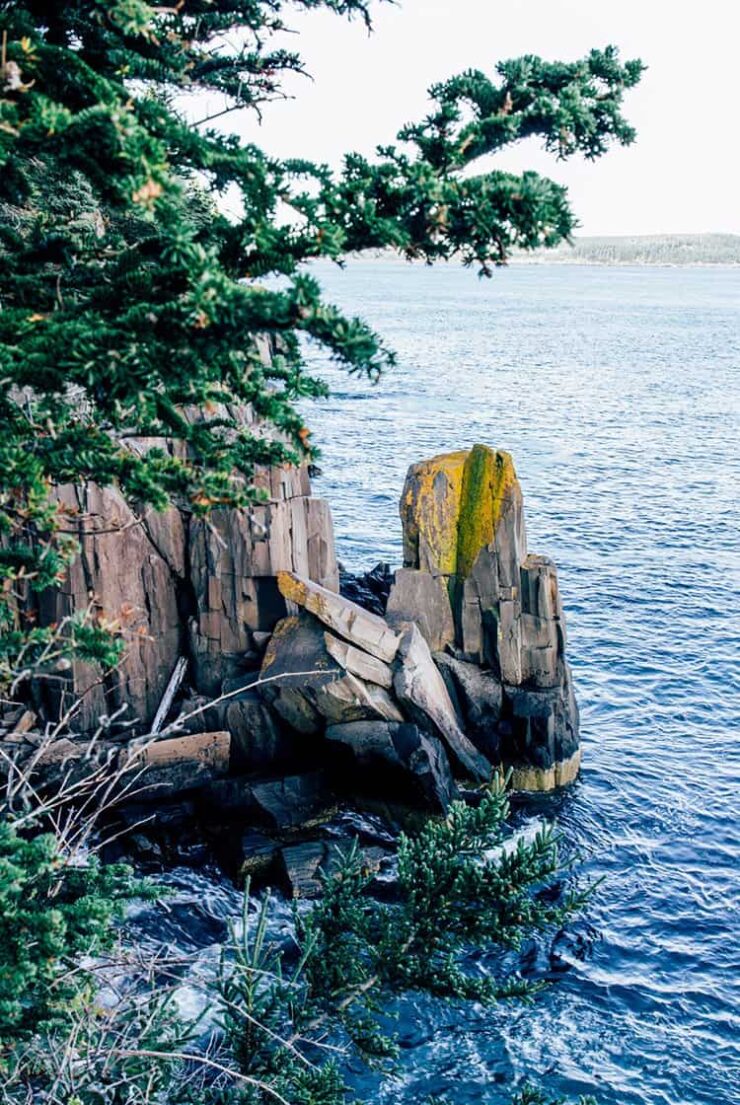 Digby – Nova Scotia: Aktivitäten und Insidertipps | Reisehappen