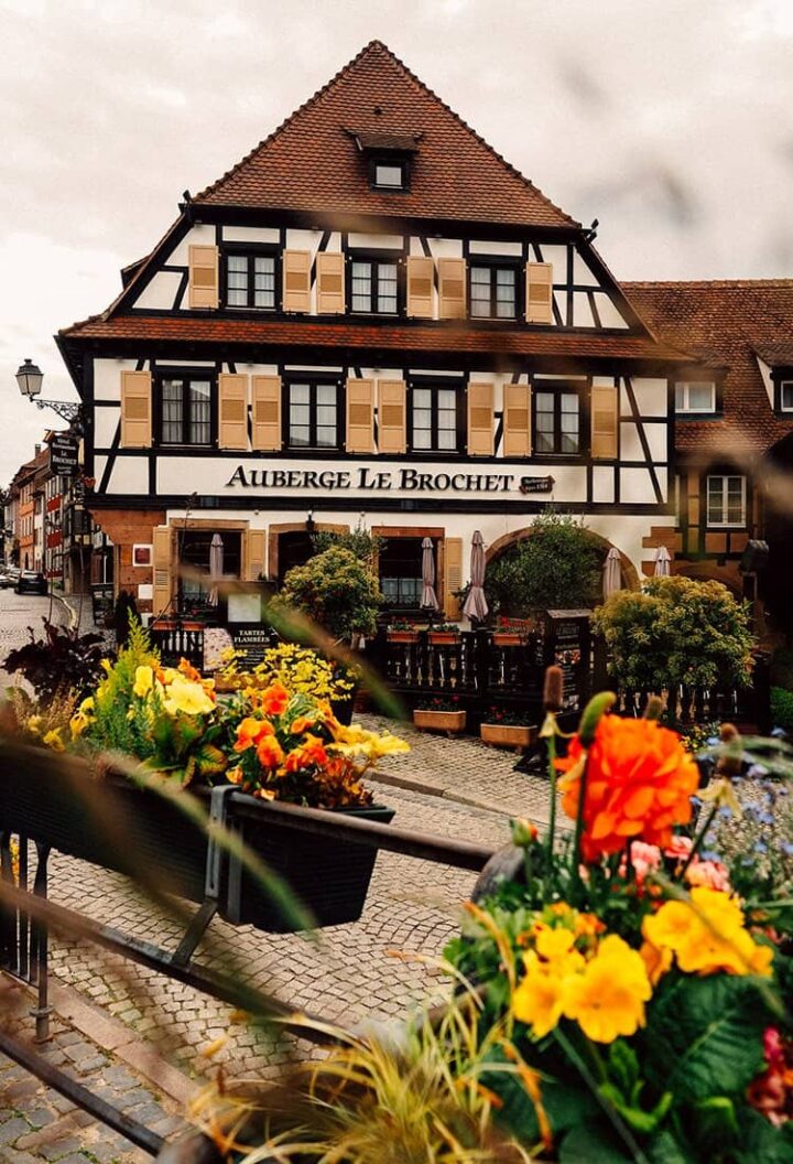 Die 6 schönsten Städte und Dörfer im Elsass | Reisehappen