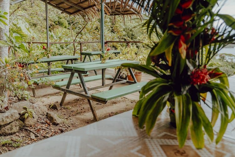 10 polynesische Spezialitäten, die Du auf Moorea probieren solltest