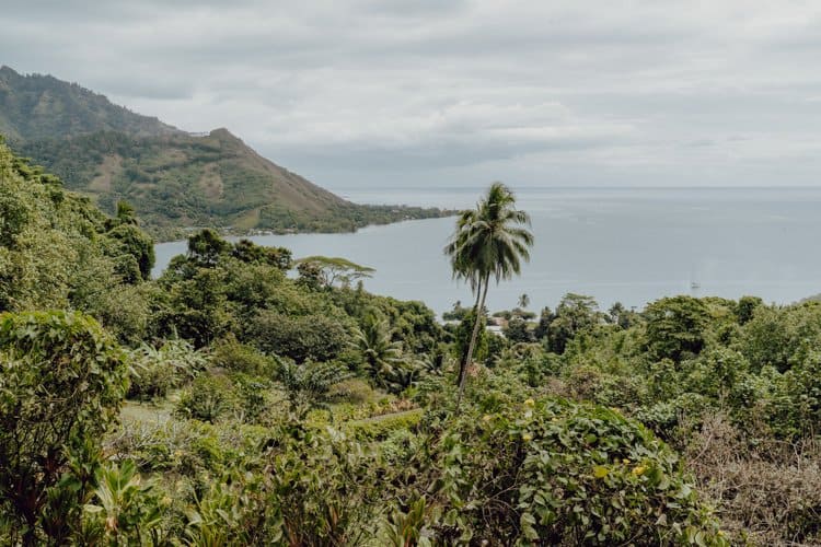 10 polynesische Spezialitäten, die Du auf Moorea probieren solltest