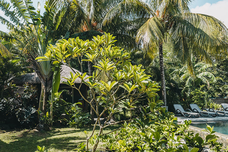 Mauritius Rundreise: Highlights und Geheimtipps