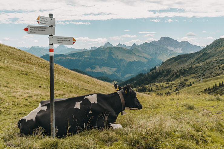 Bregenzerwald in Vorarlberg: Ausflugsziele & Tipps