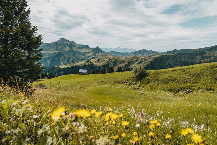 Bregenzerwald in Vorarlberg: Ausflugsziele & Tipps